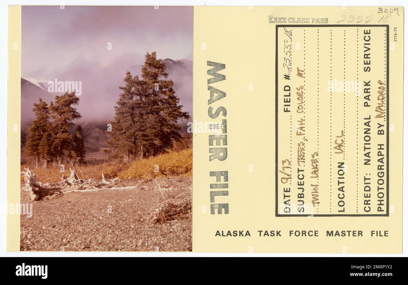 Trees, fall colors at Twin Lakes. Alaska Task Force Photographs Stock Photo - Alamy