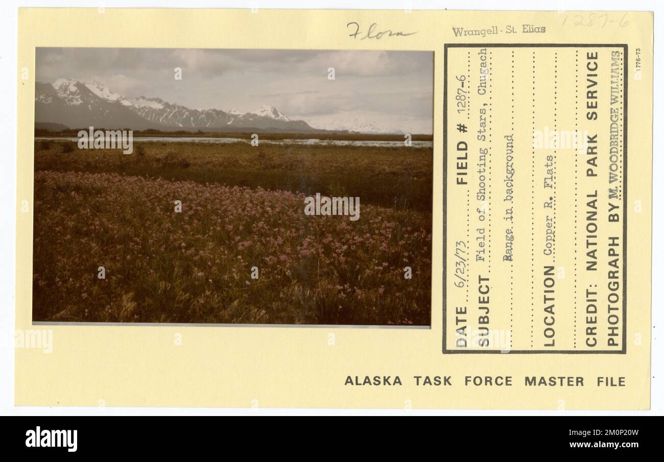 Field of Shooting Stars, Chugach Range in background. Alaska Task Force ...