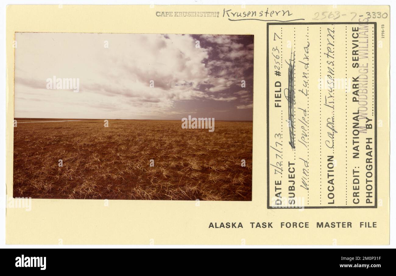 Wind leveled tundra. Alaska Task Force Photographs Stock Photo - Alamy