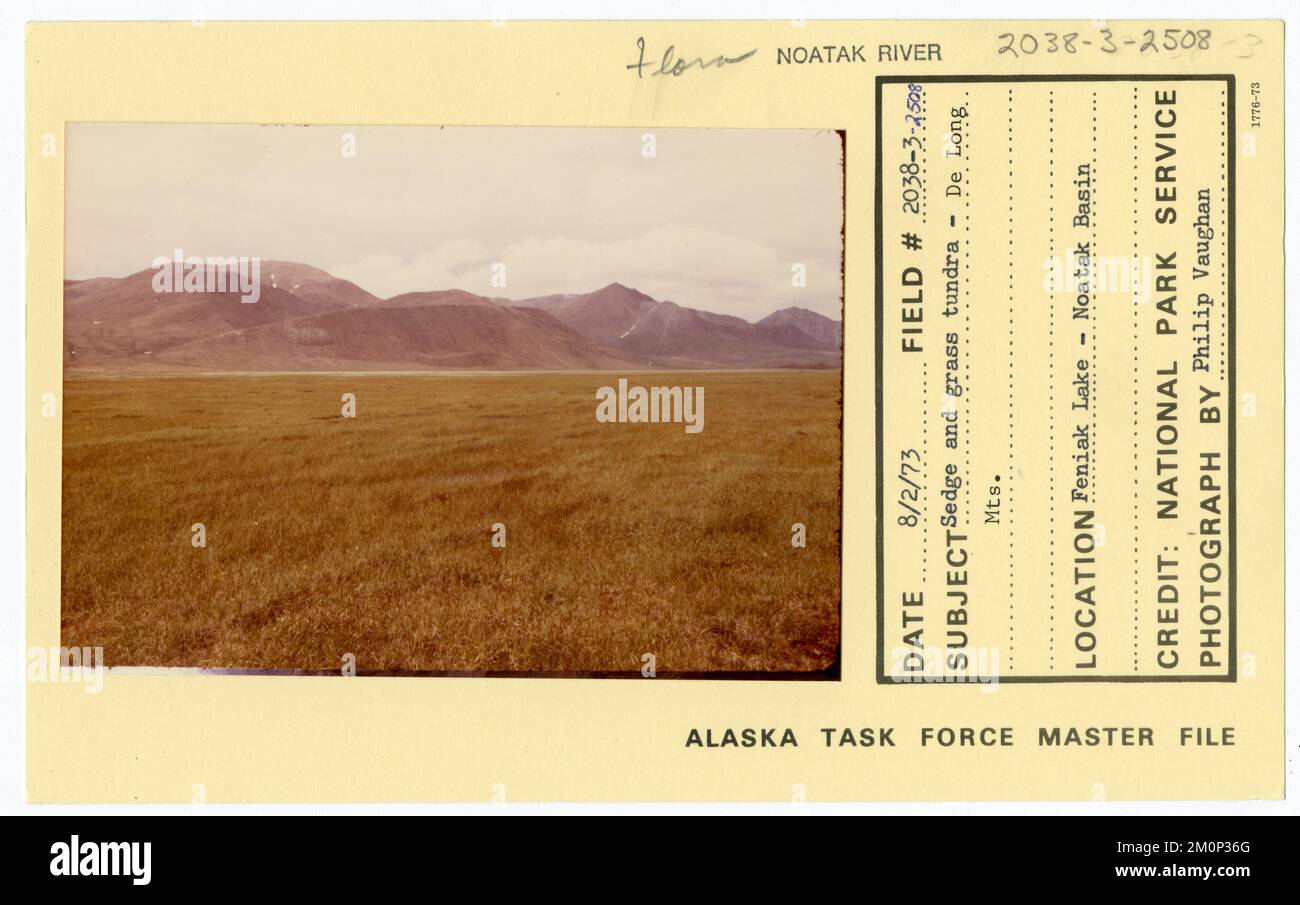 Sedge and grass tundra - De Long Mountains. Alaska Task Force ...