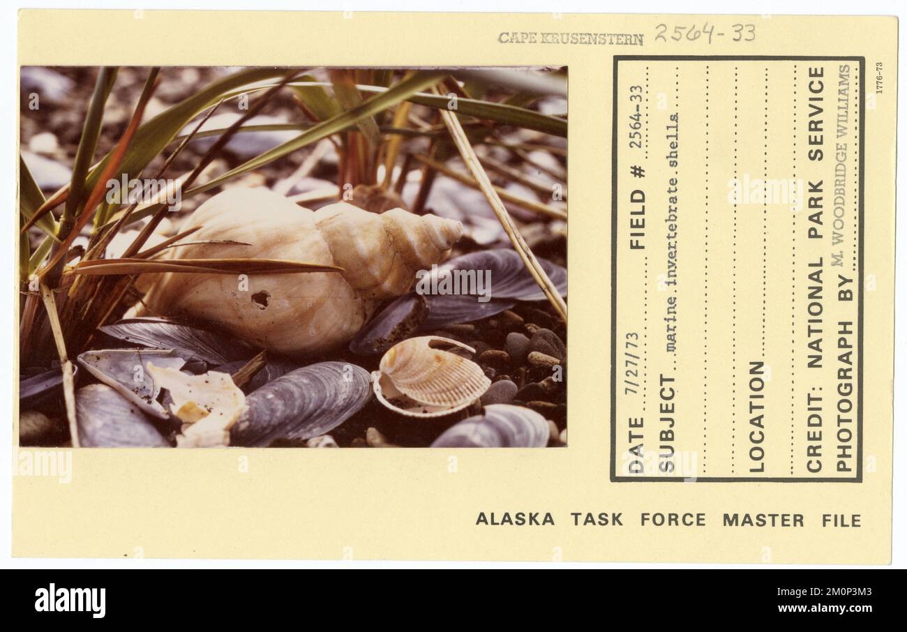 Marine biological diversity Cut Out Stock Images & Pictures - Alamy