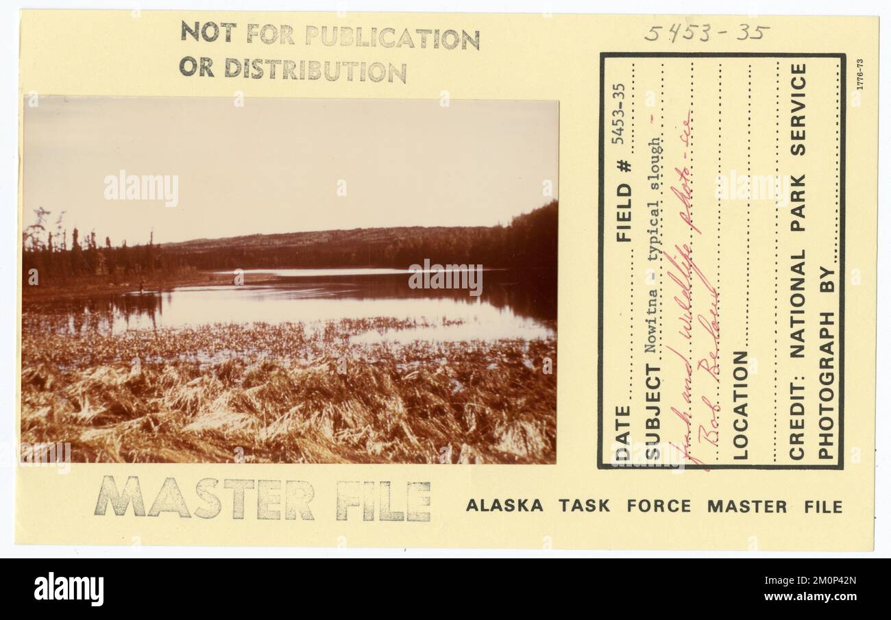 Nowitna - typical slough. Alaska Task Force Photographs Stock Photo - Alamy