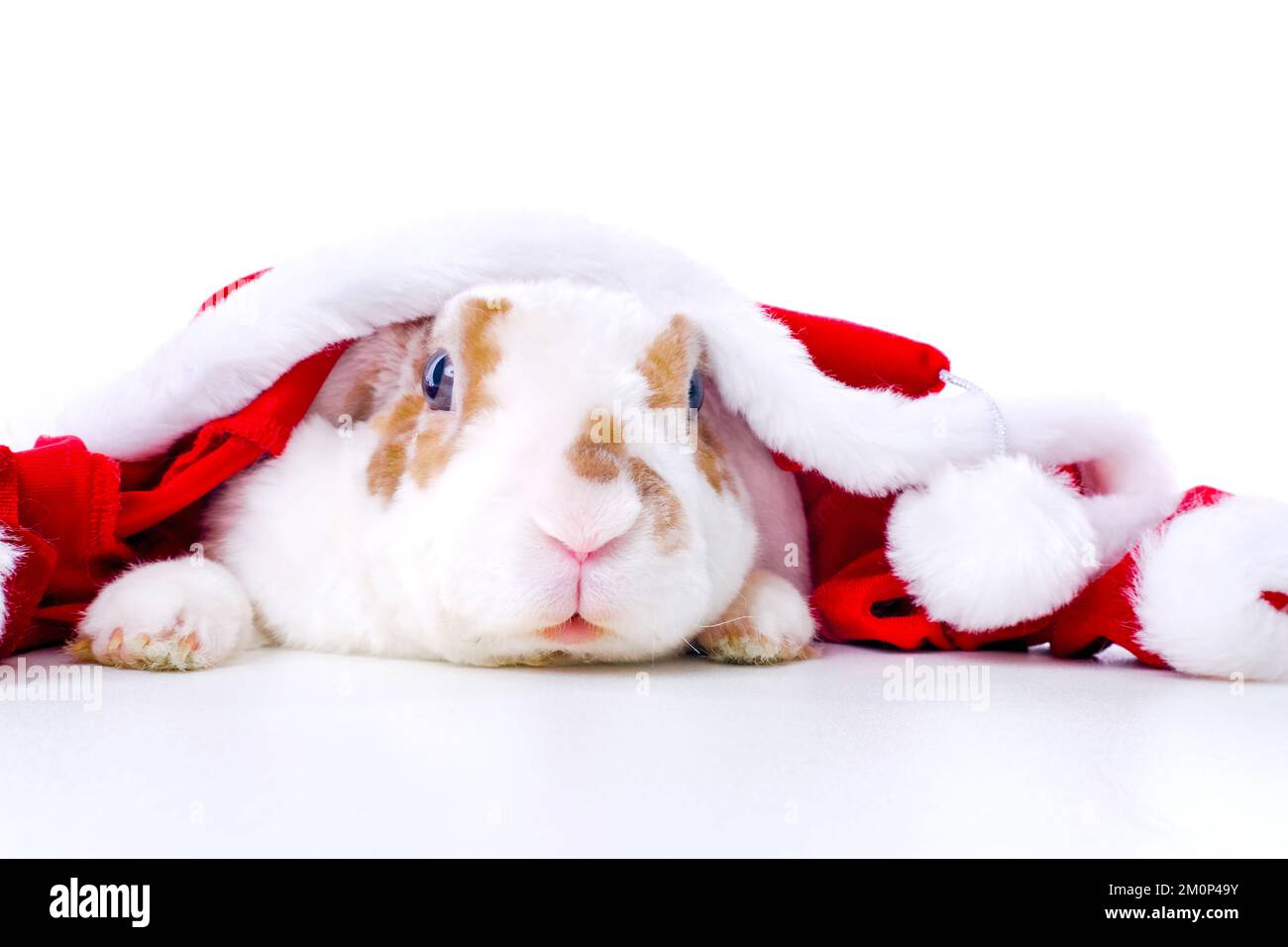 Funny Easter Bunny And Santa Claus