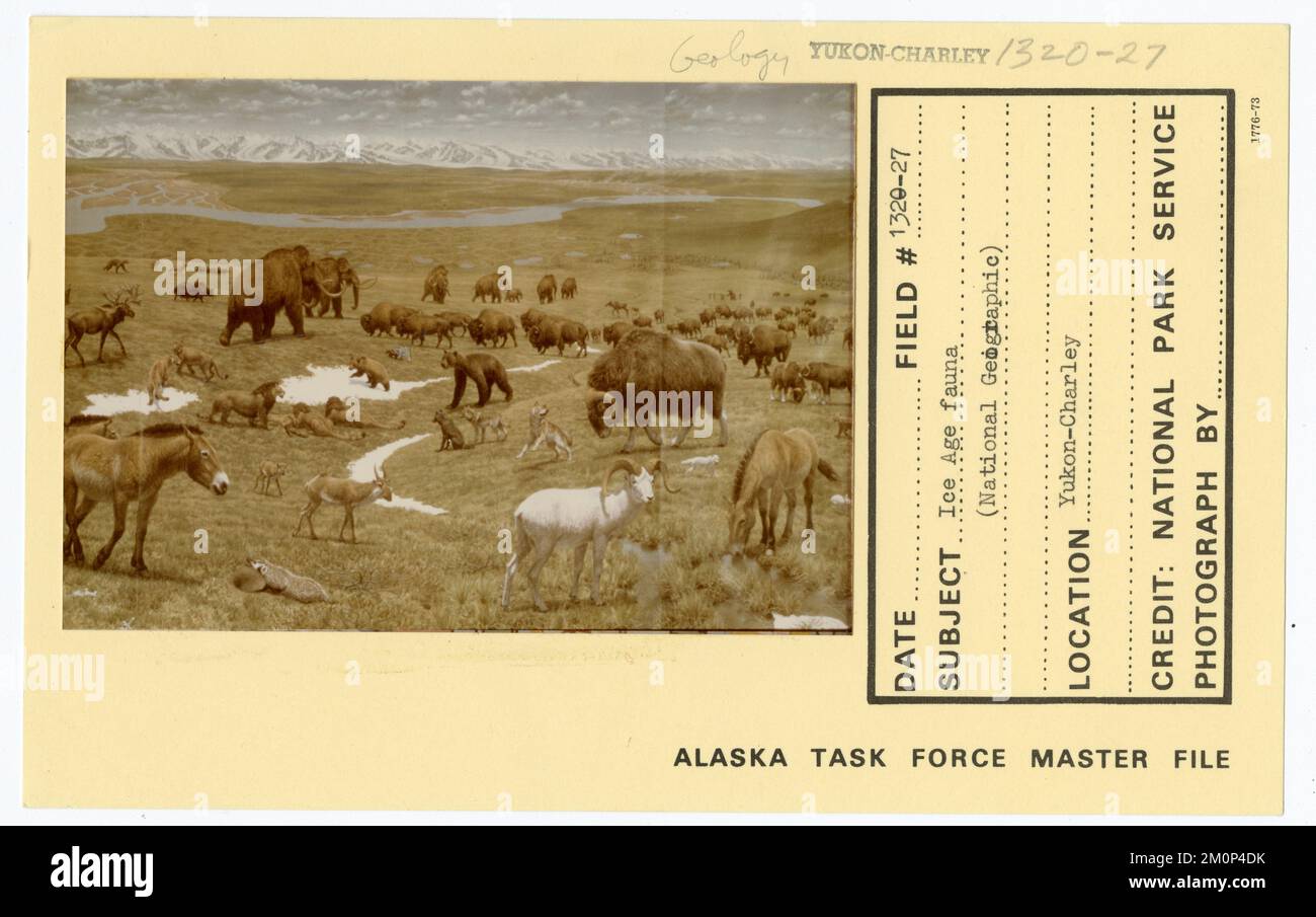 Ice Age fauna (National Geographic). Alaska Task Force Photographs ...