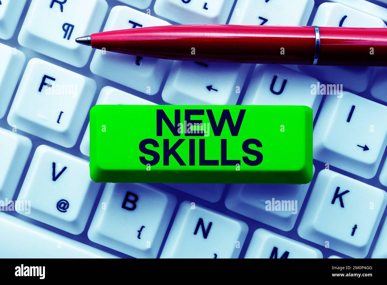 Text caption presenting New Skills. Business overview Recently Acquired ...