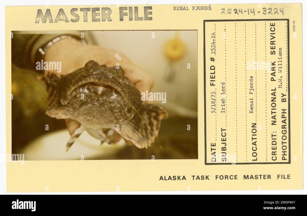 Irish Lord. Alaska Task Force Photographs Stock Photo - Alamy