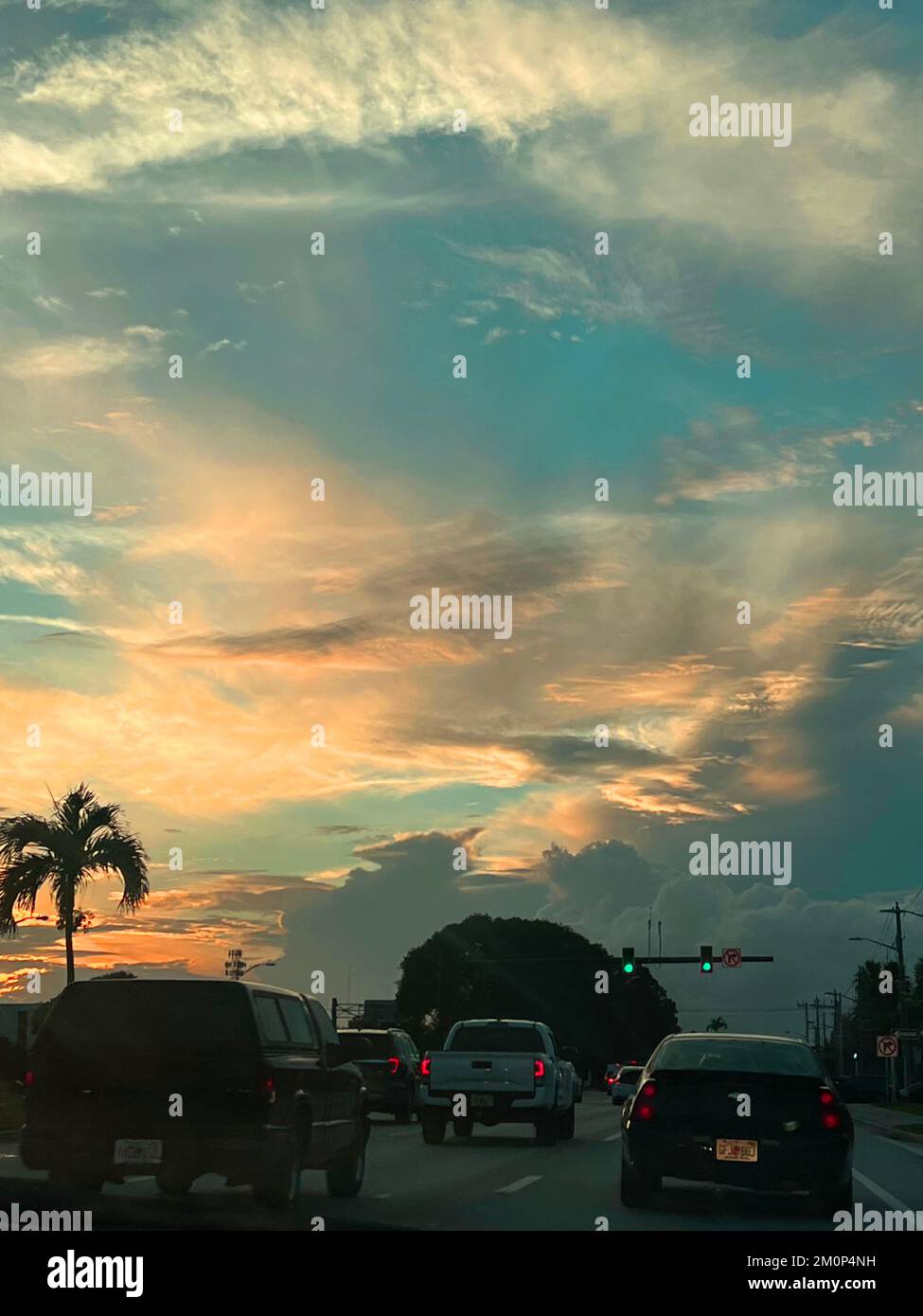 Beautiful coconut palm tree with amazing vivid sky at sunset Stock ...