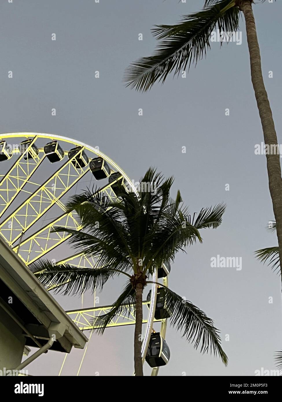 Ferris wheel in the park at the Downtown Miami at sunset Stock Photo ...
