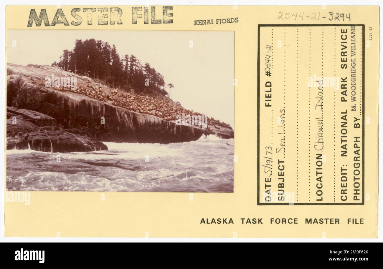 Sea lions. Alaska Task Force Photographs Stock Photo - Alamy