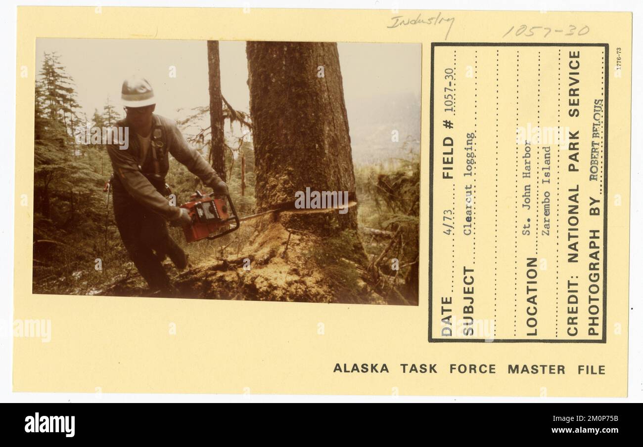 Clearcut logging. Alaska Task Force Photographs Stock Photo - Alamy