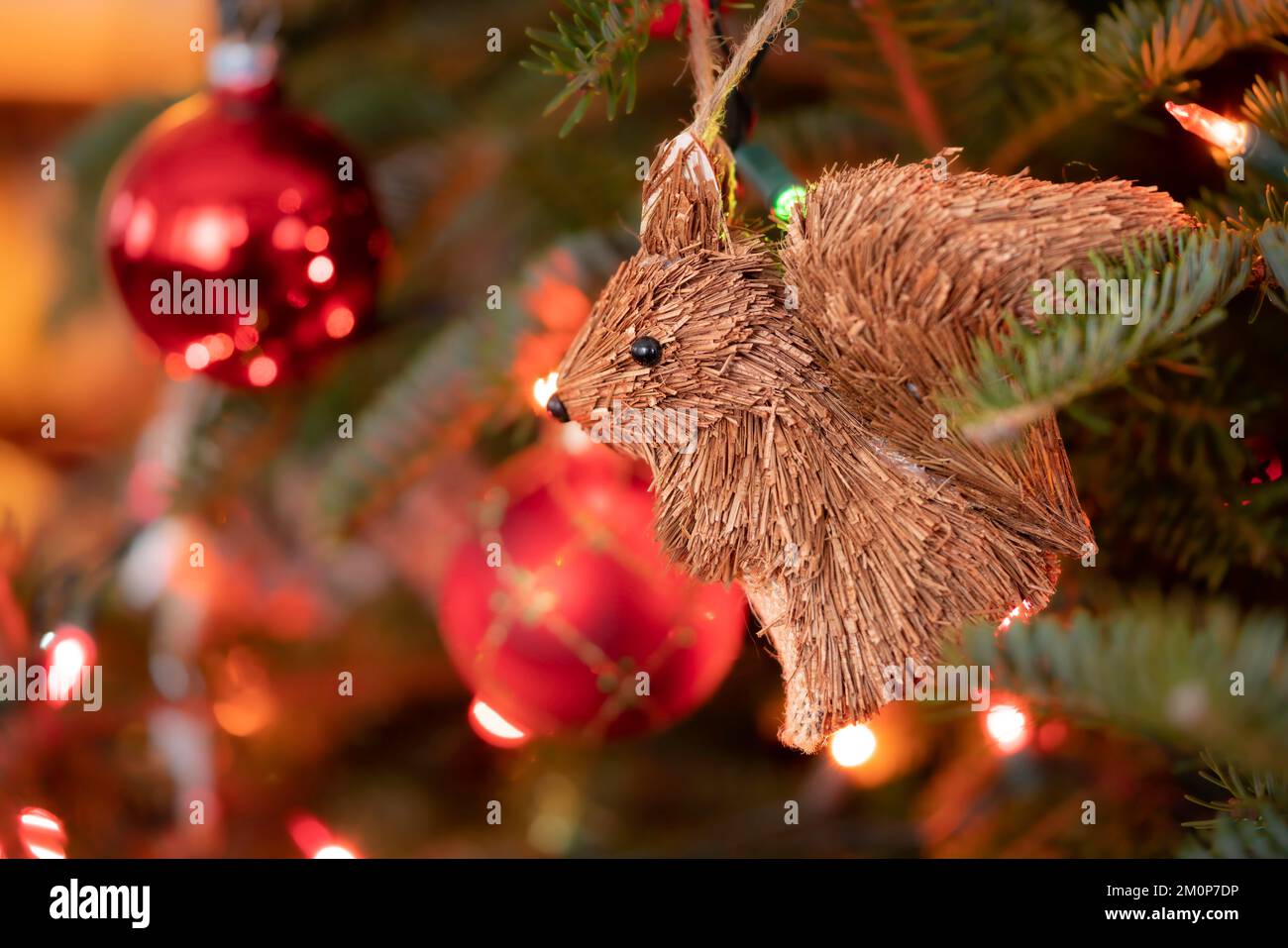 Squirrel and christmas lights hi-res stock photography and images - Alamy
