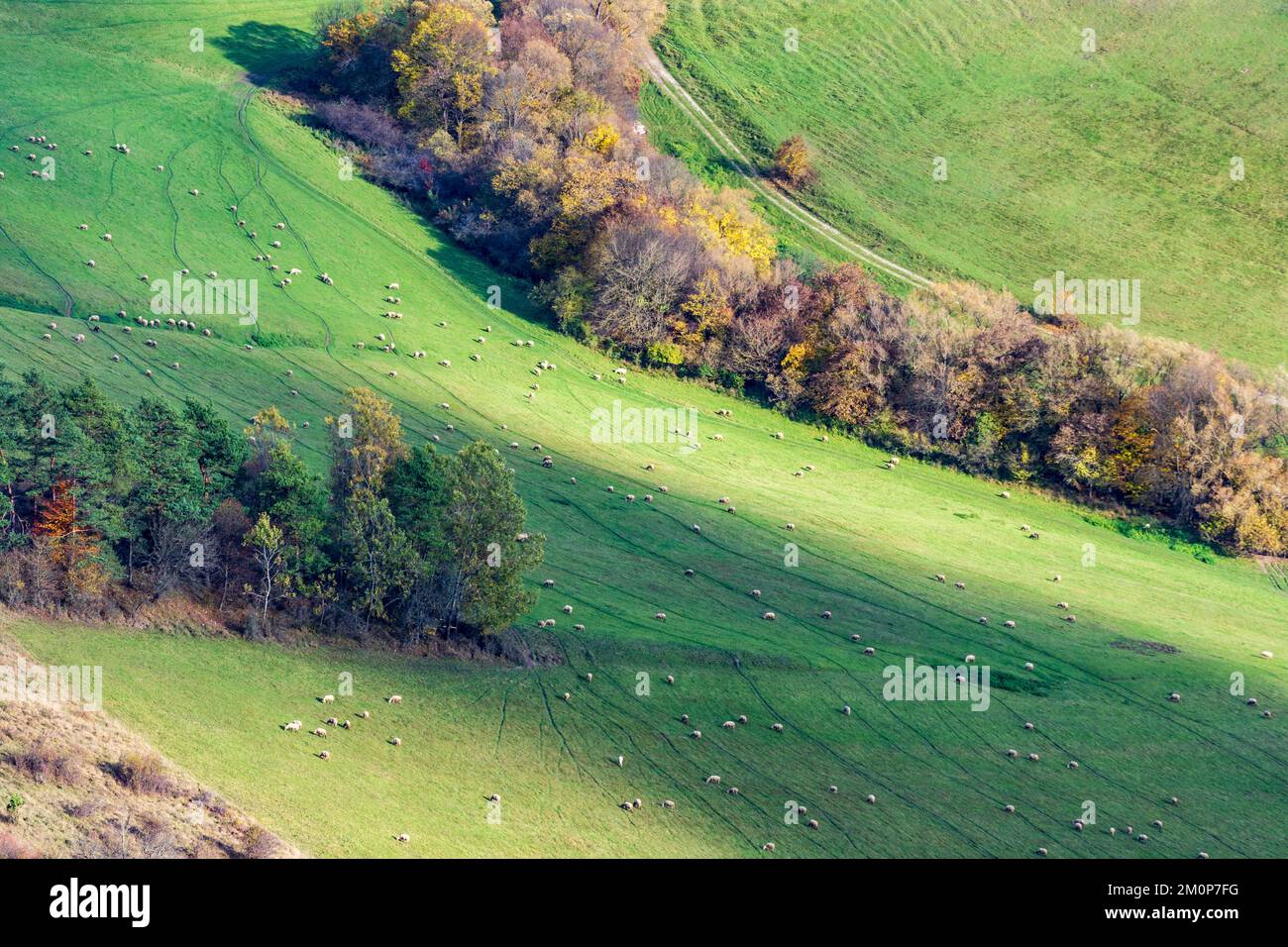 Sulovske skaly (Sulov Rocks): Sulov Valley in autumn colors, meadow ...