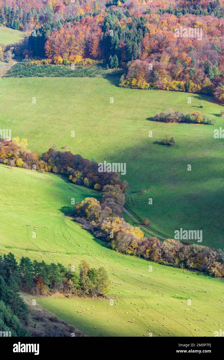 Sulovske skaly (Sulov Rocks): Sulov Valley in autumn colors, meadow ...