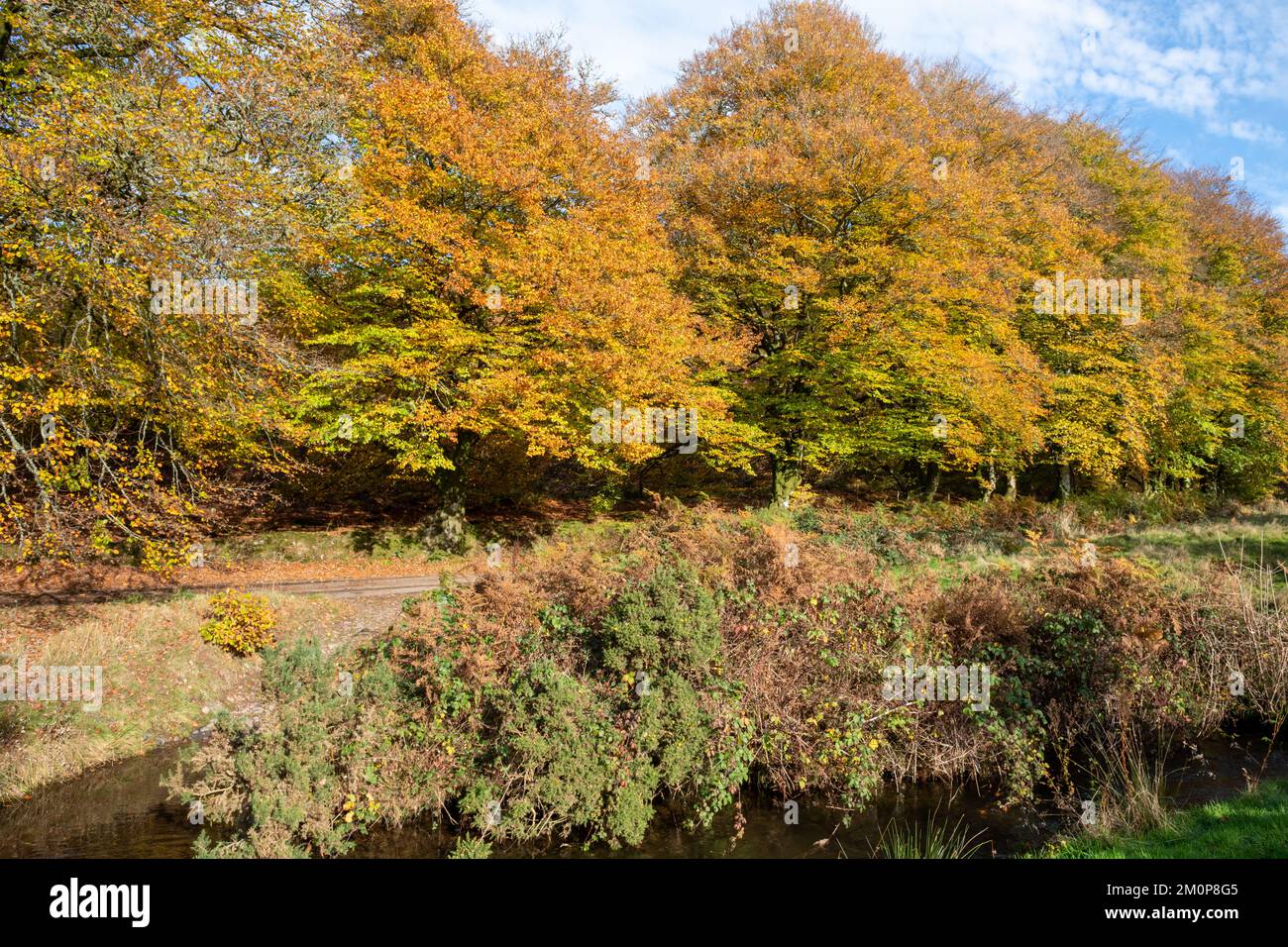 The Weir Water river flowing under Robbers Bridge in Exmoor National ...