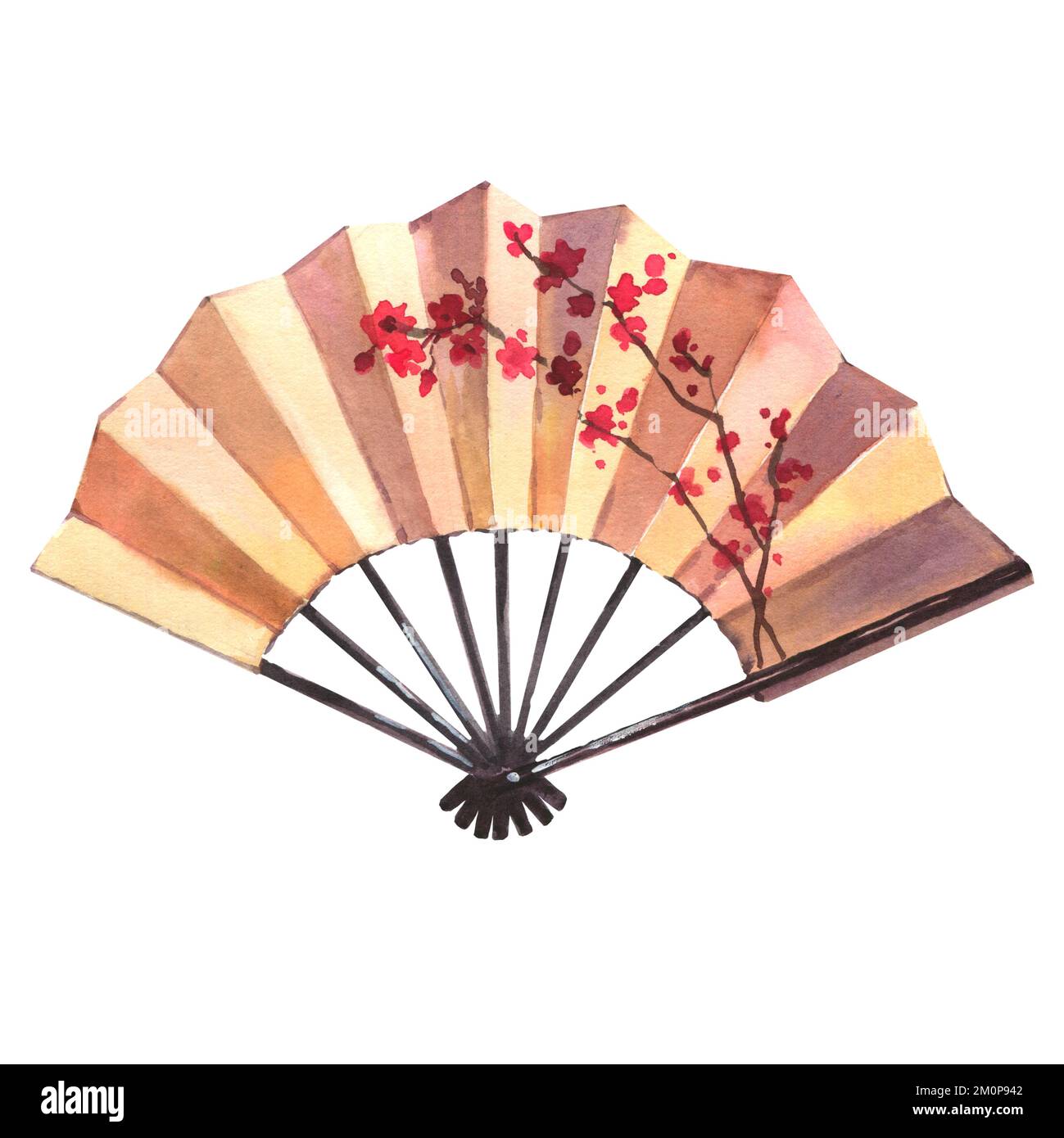 Japanese fan with ornament of sakura branch. Watercolor illustration ...