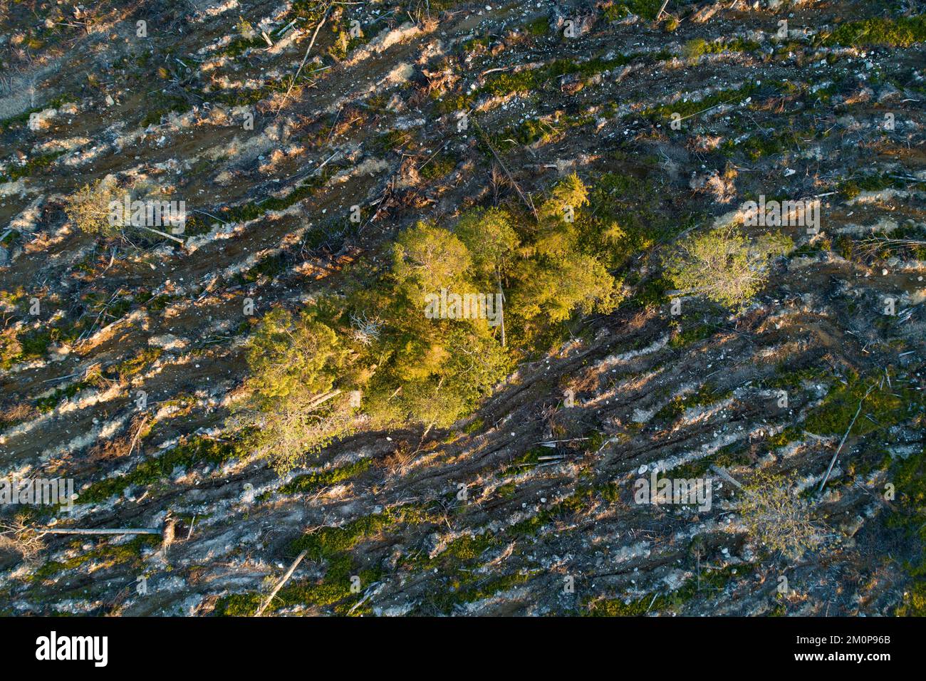 Trenches aerial hi-res stock photography and images - Alamy