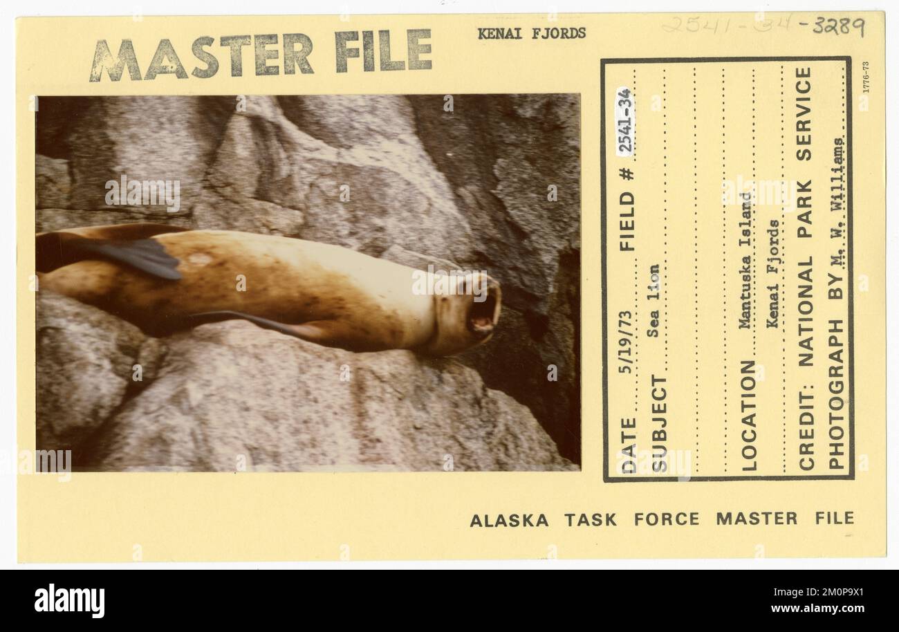 Task force lion hi-res stock photography and images - Alamy