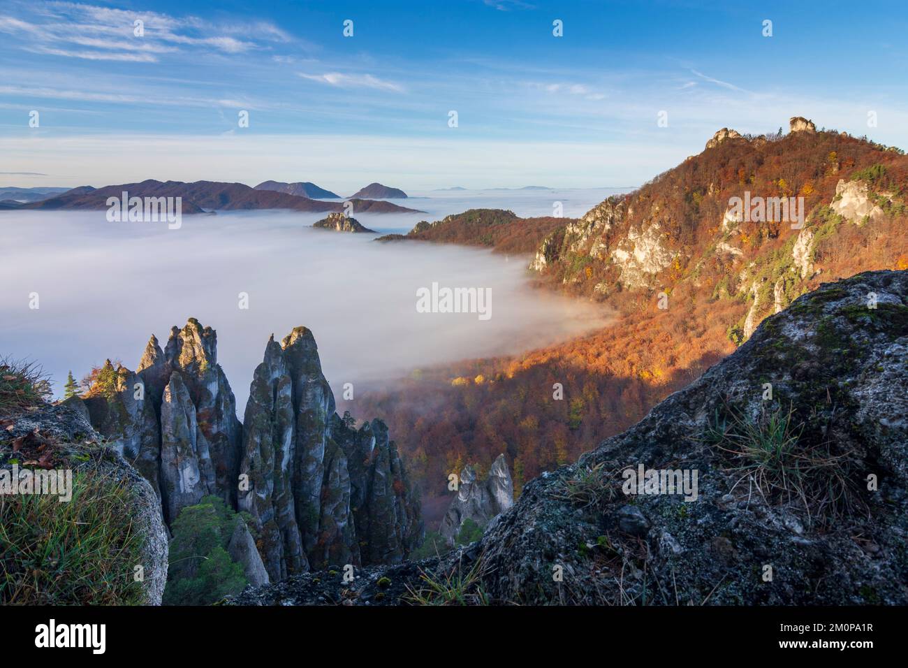 Sulovske skaly (Sulov Rocks): viewpoint at Sulov Rocks, rock, forest ...