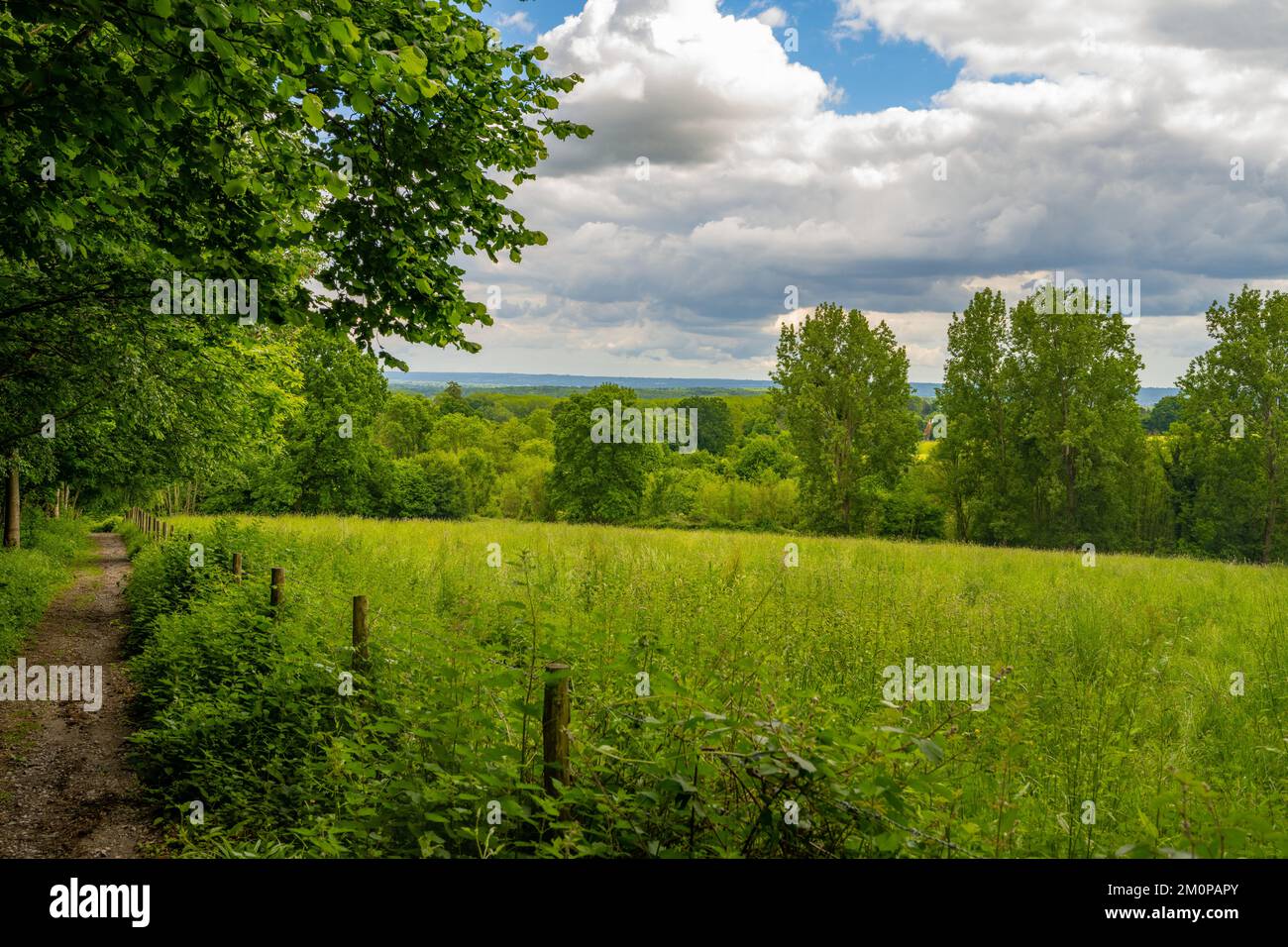 English countryside spring sunny hi-res stock photography and images ...