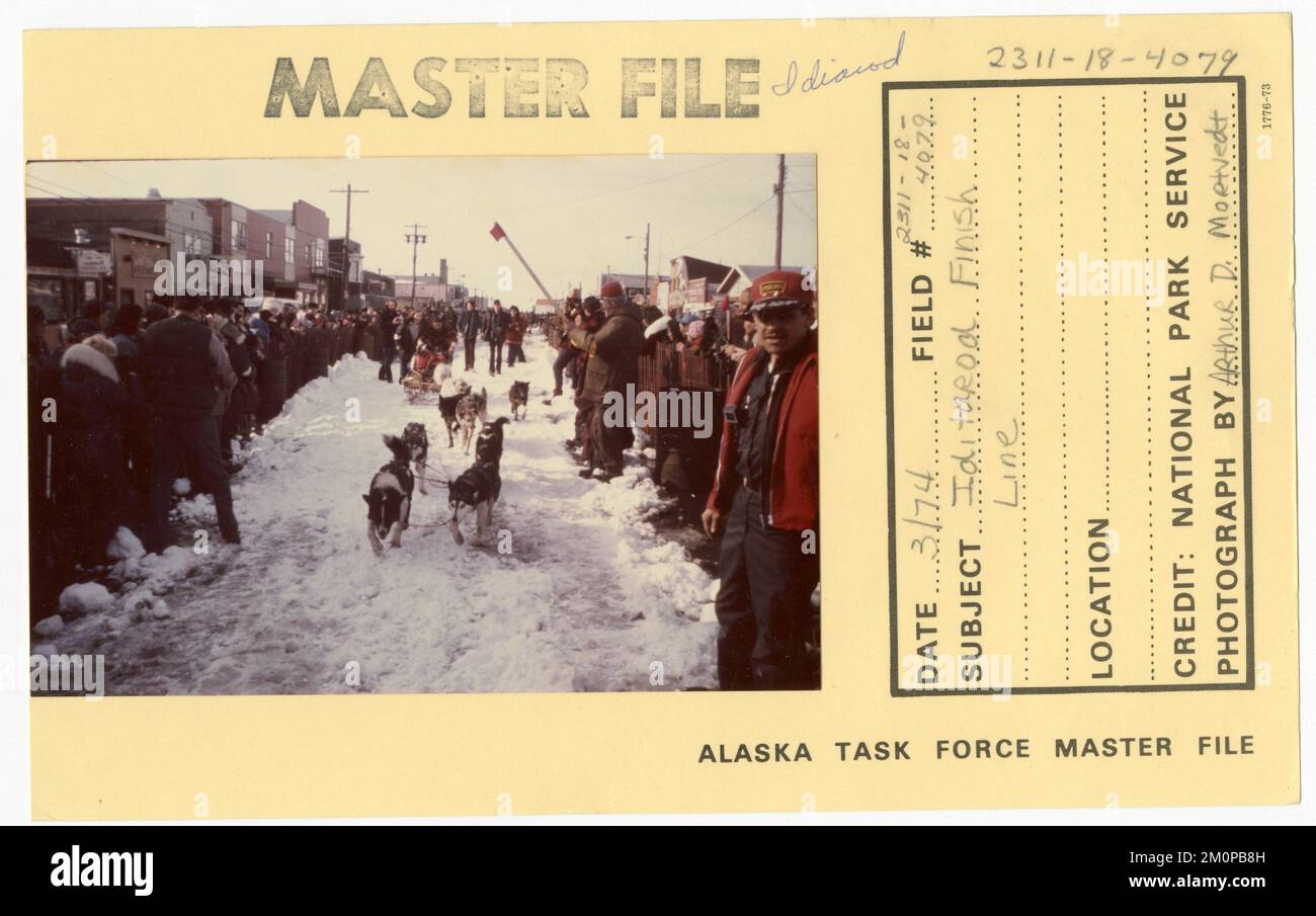 Iditarod trail sled dog race finish hi-res stock photography and images ...