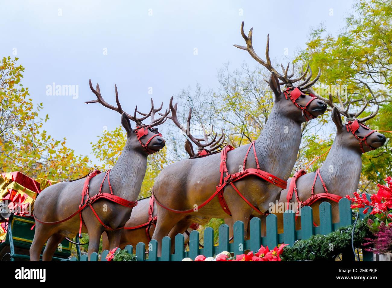 Merry Christmas Reindeer