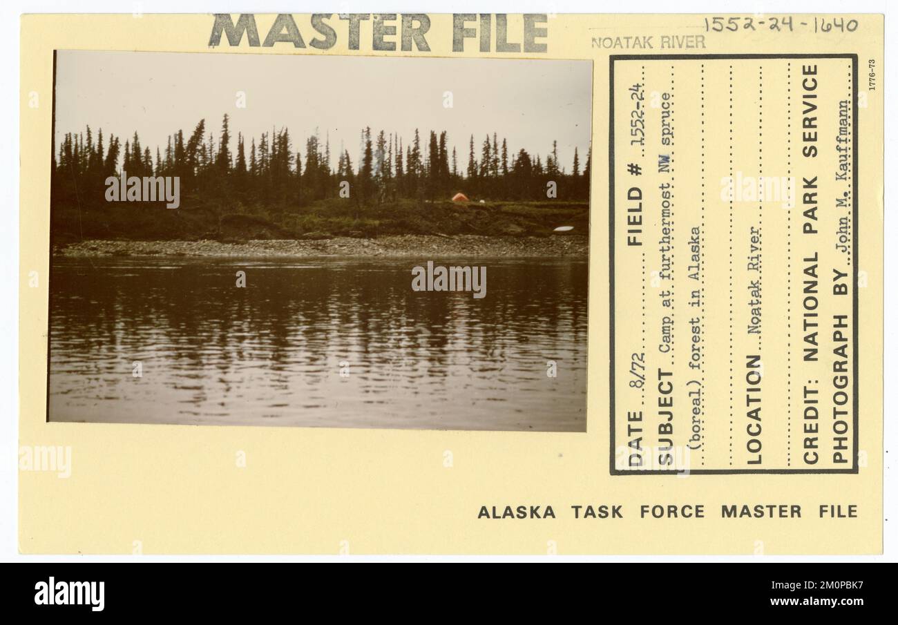 Remote forests Cut Out Stock Images & Pictures - Alamy