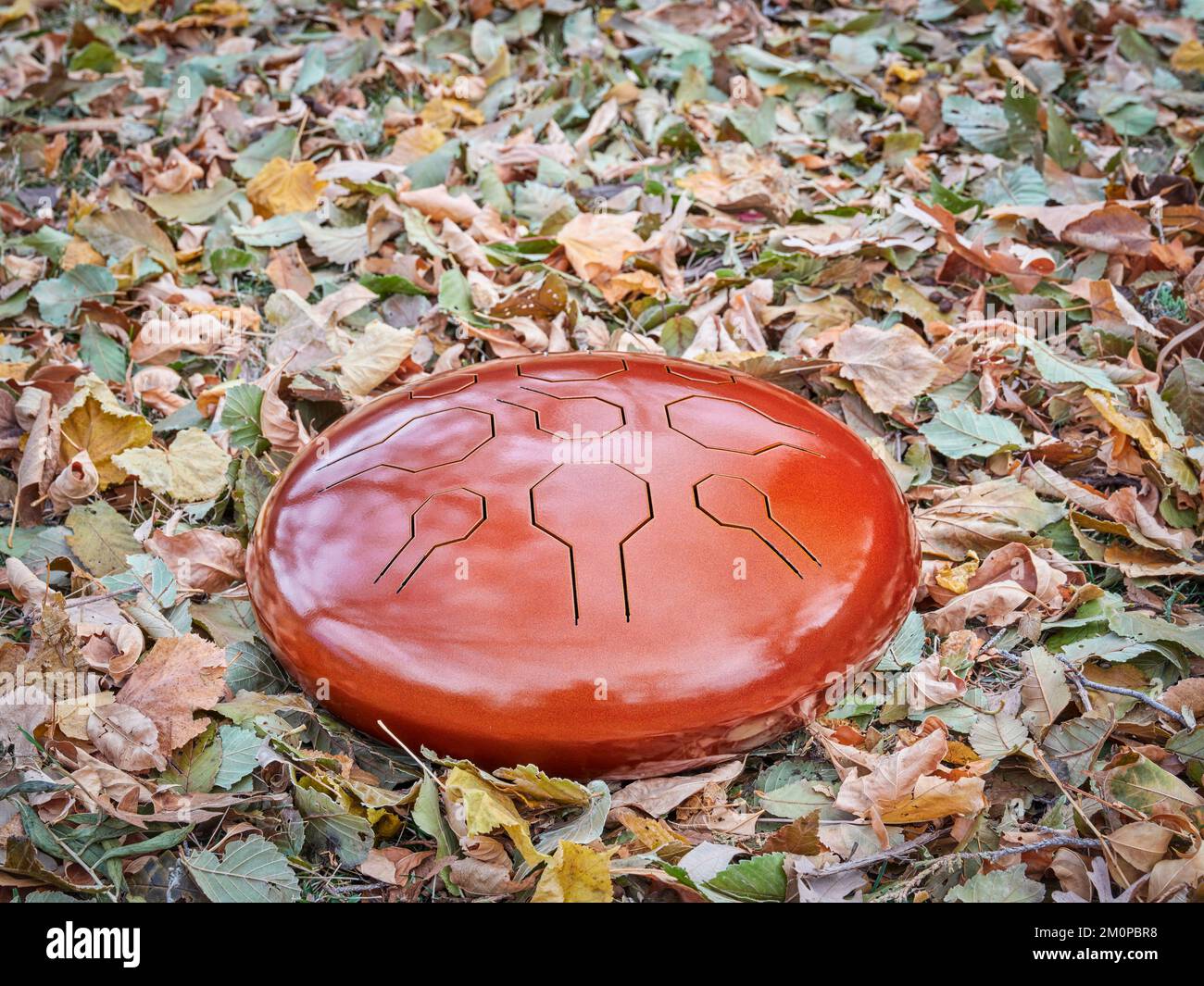red steel tongue drum on a ground covered by dry leaves, percussion ...
