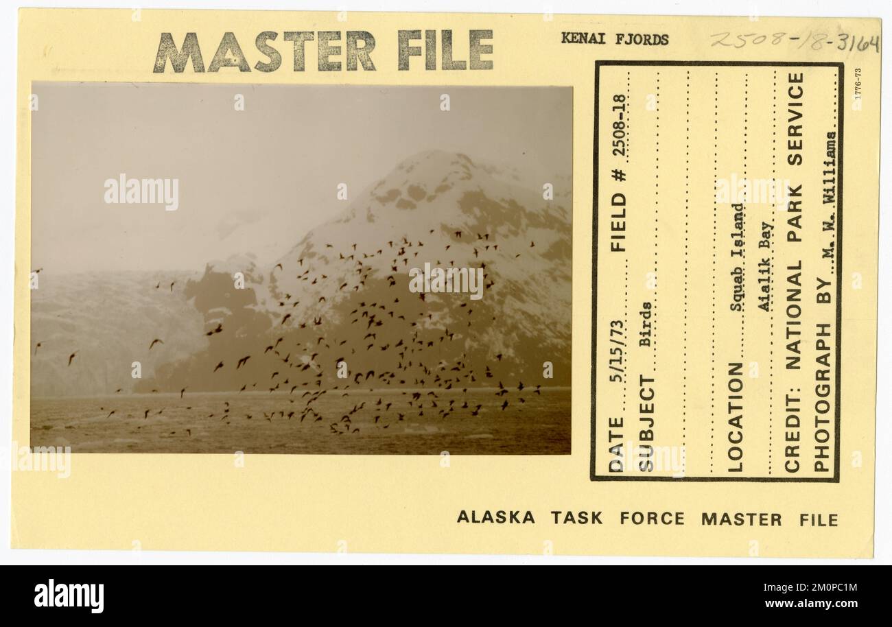 Photographs of birds Cut Out Stock Images & Pictures - Alamy