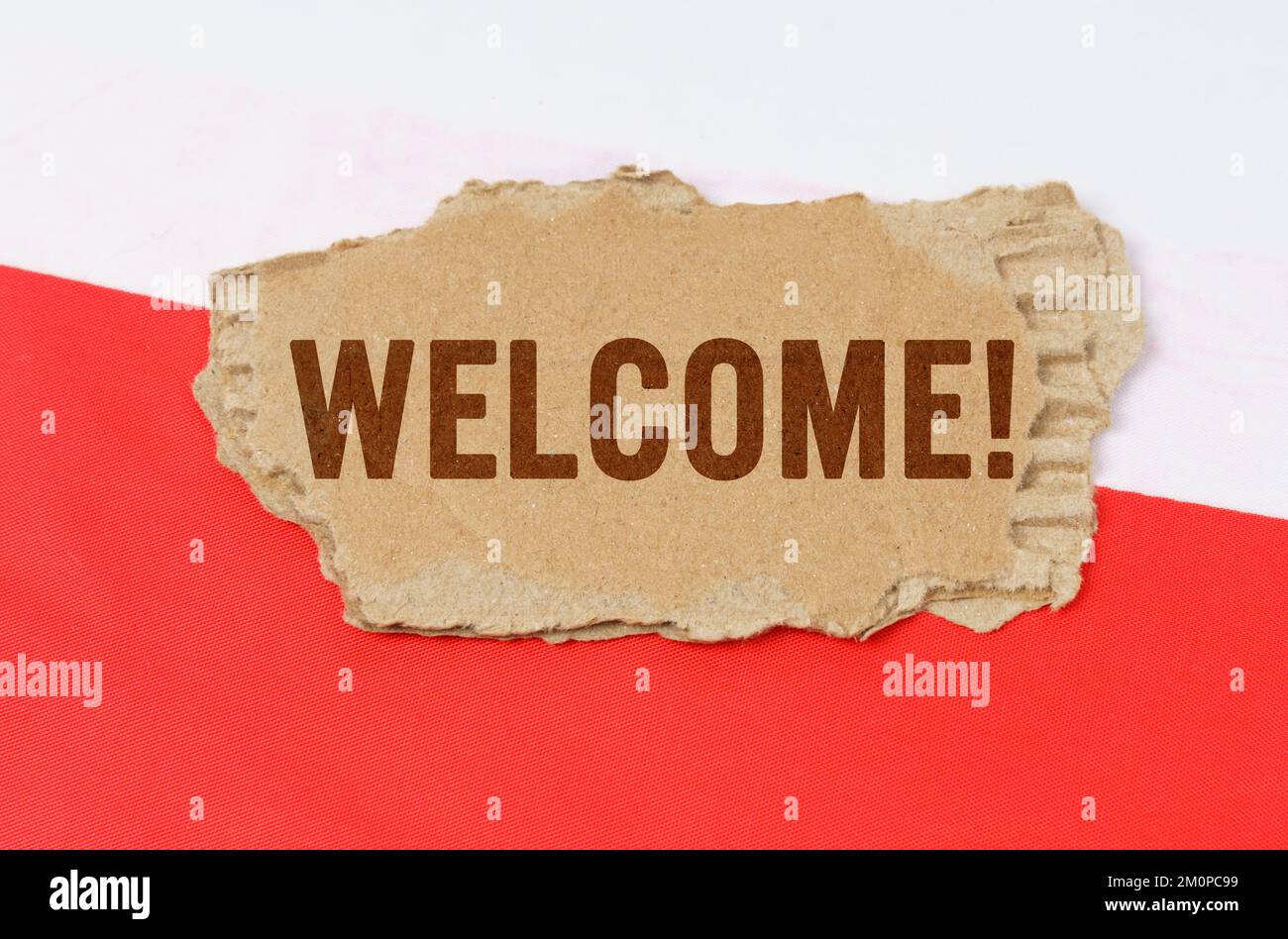 Business and finance concept. Against the background of the Polish flag ...