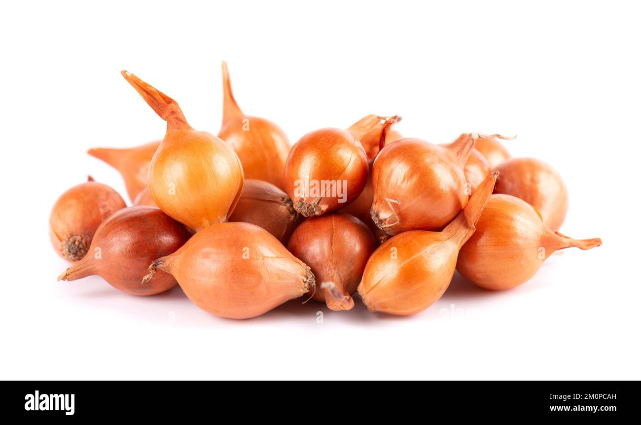 Brown mini onions isolated on a white background. Raw onion bulbs, for ...