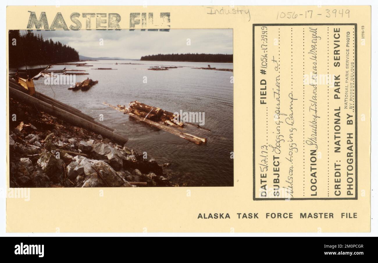 Logging operation at Nelson Logging Camp. Alaska Task Force Photographs ...