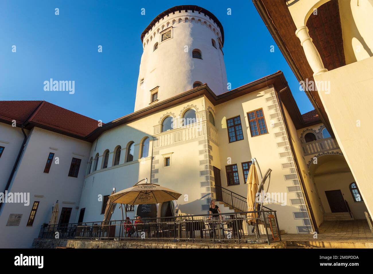 Zilina (Sillein, Silein): Budatin Castle (Budatinsky zamok) in ...