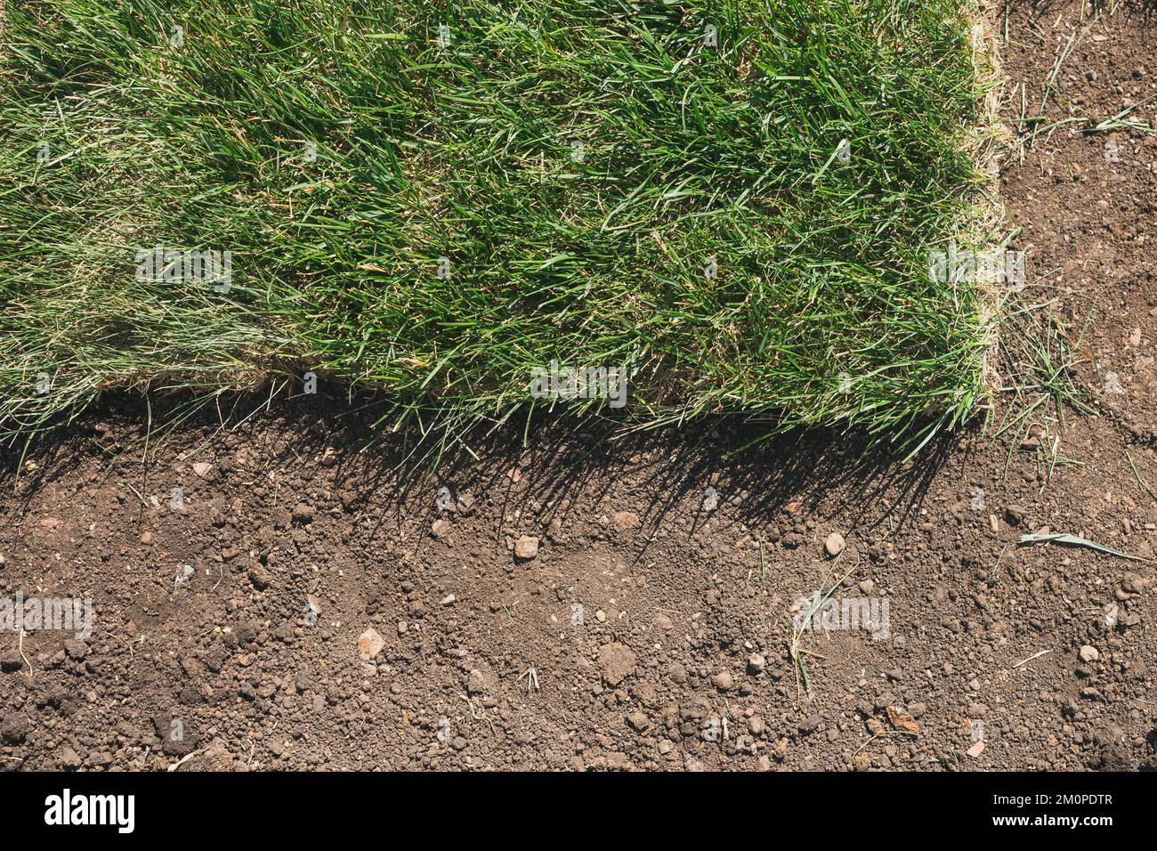 Rolls of lawn grass on sunny day - country house and landscape design ...