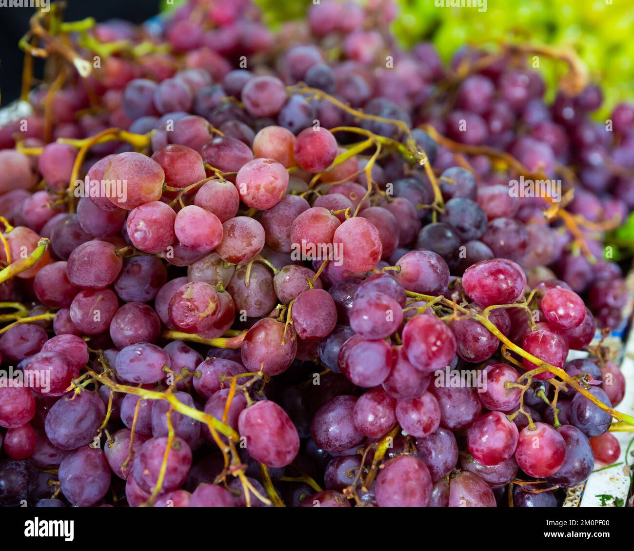 Fresh bunches grapes on counter in food market Stock Photo - Alamy