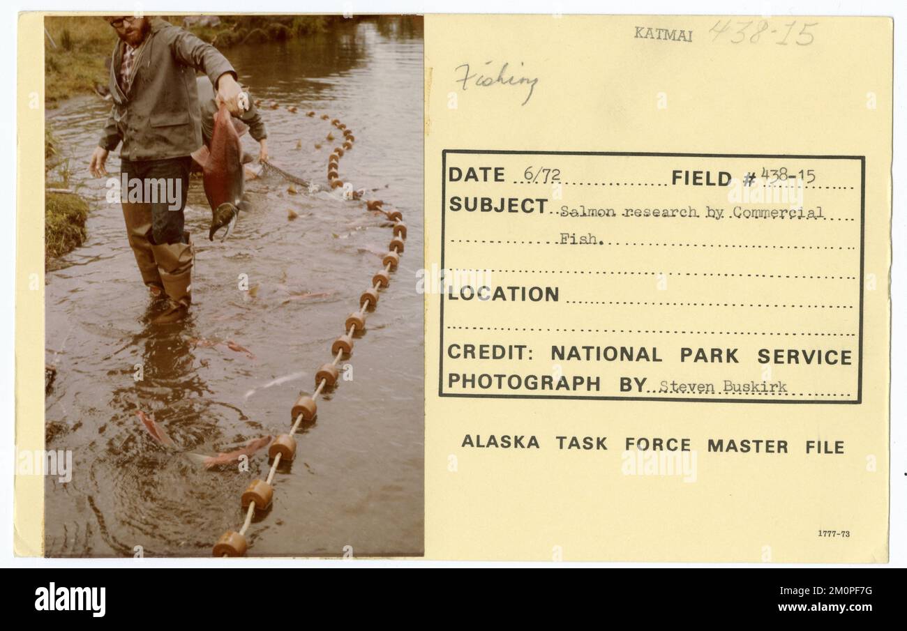 Salmon research by Commercial Fish. Alaska Task Force Photographs Stock ...