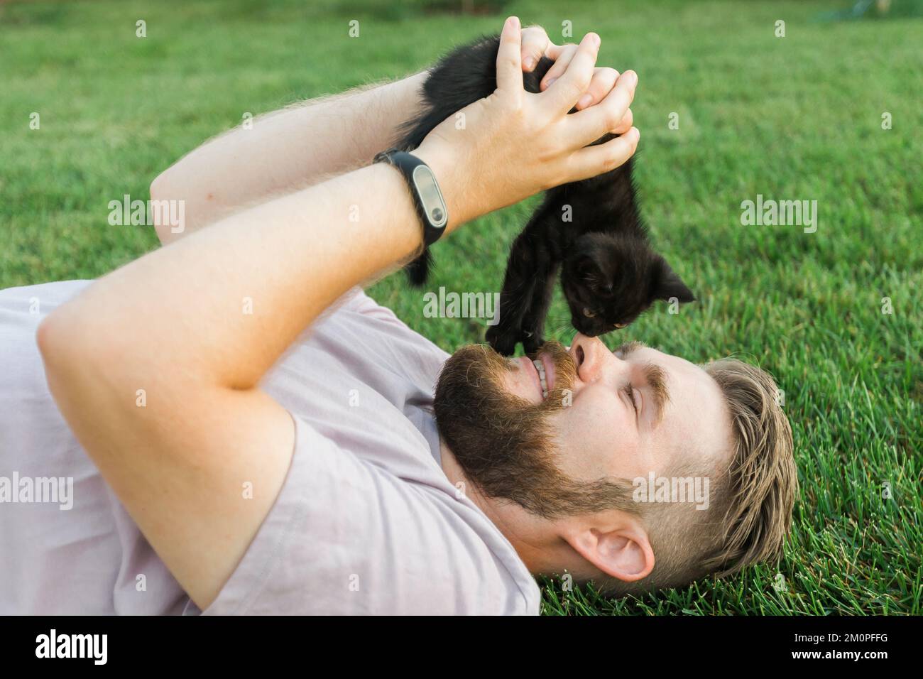 Close-up of Man with little kitten lying and playing on grass ...