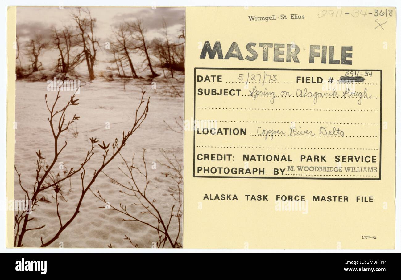 Slough alaganik hi-res stock photography and images - Alamy