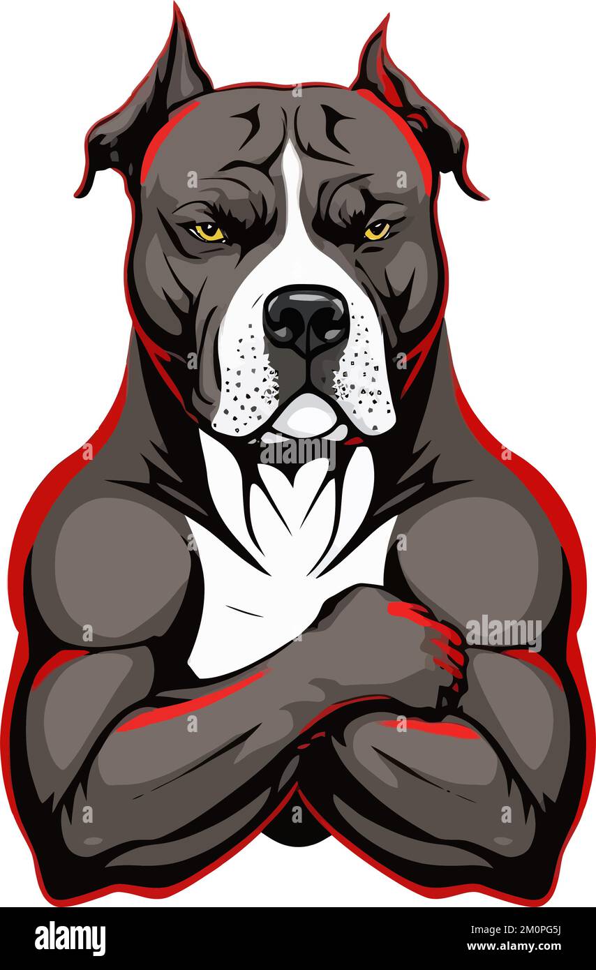Pitbull Dog Muscle Wallpapers