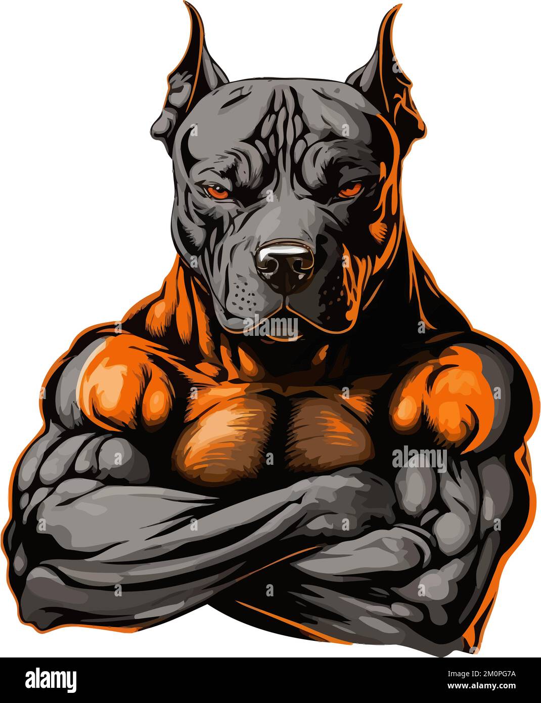 Músculo Del Pitbull Terrier 5,586 Muscular Pitbull Images, Stock