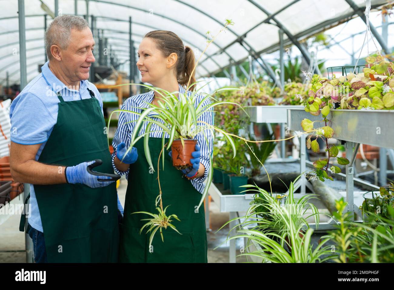 Two positive male and female botanists discussing among themselves ...