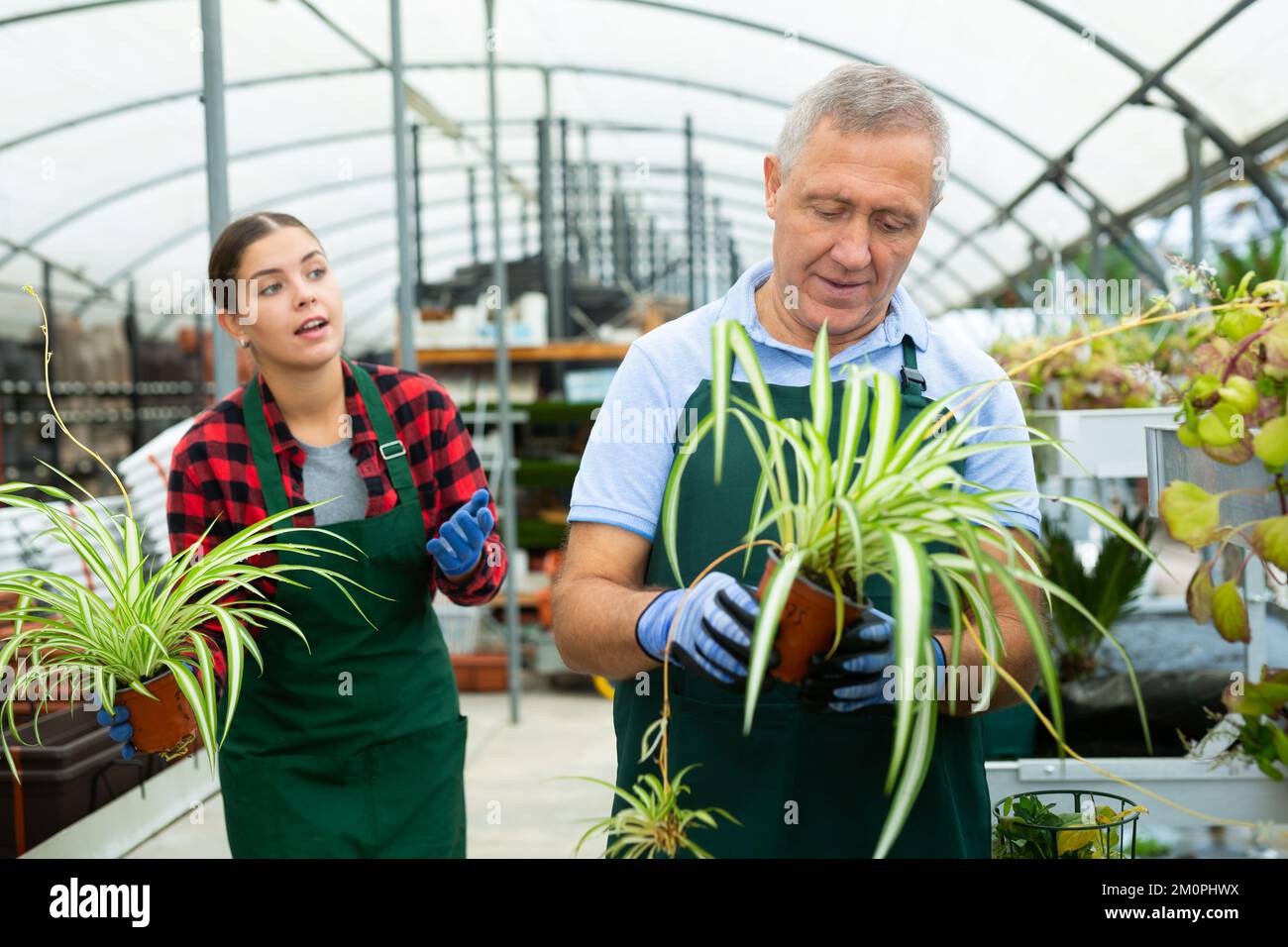 Two positive male and female botanists discussing among themselves ...