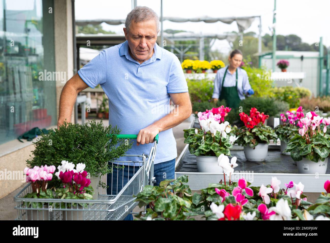 Serious male consumer choosing flowers and plants, pushing shopping ...