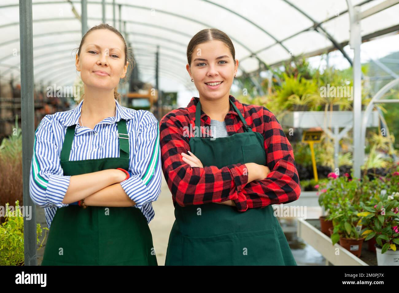 Successful cultivation hi-res stock photography and images - Alamy