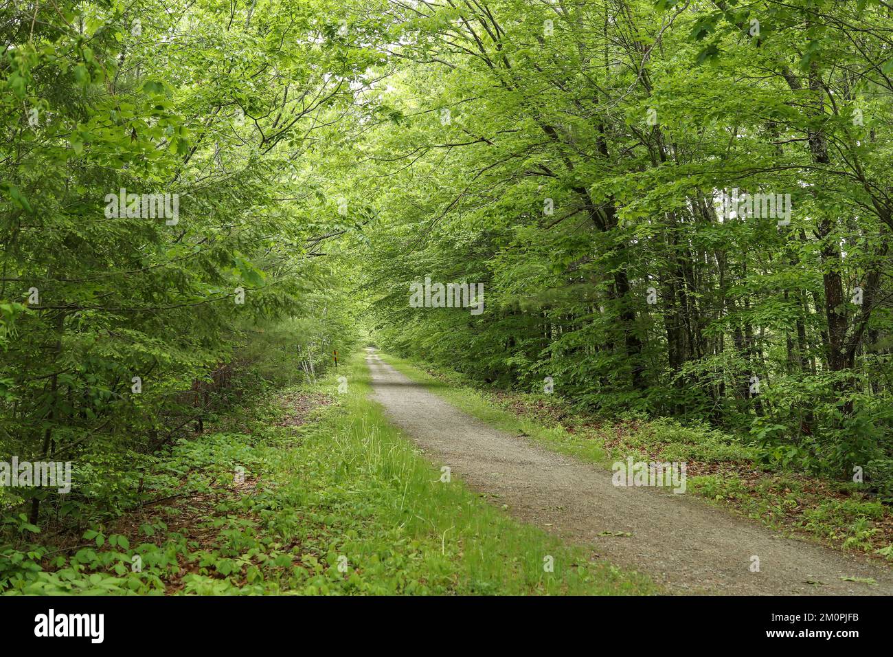 Blackwater rail trail hi-res stock photography and images - Alamy