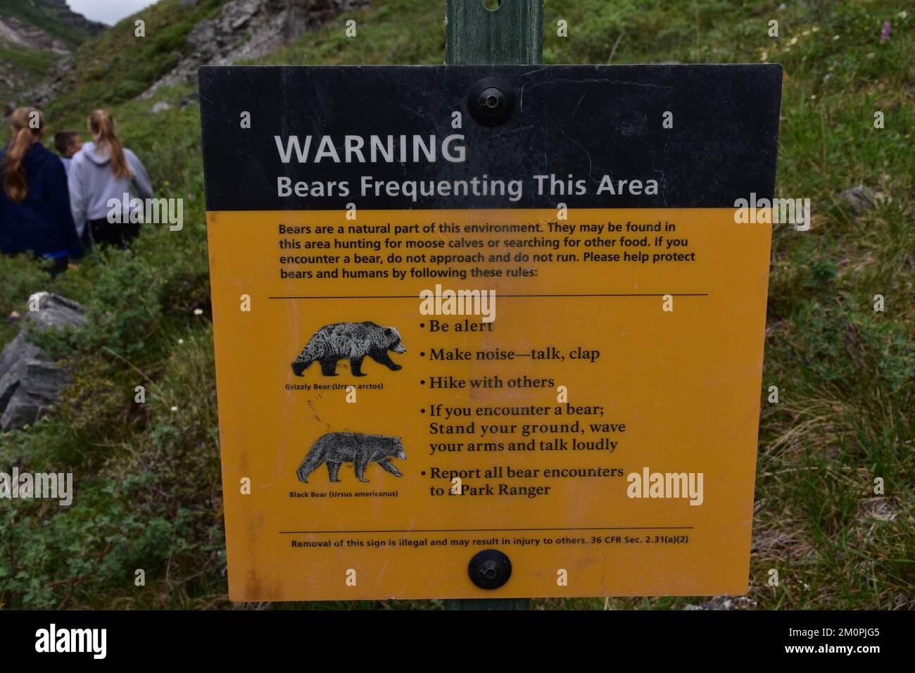 Bear warning sign in Denali National Park Stock Photo - Alamy