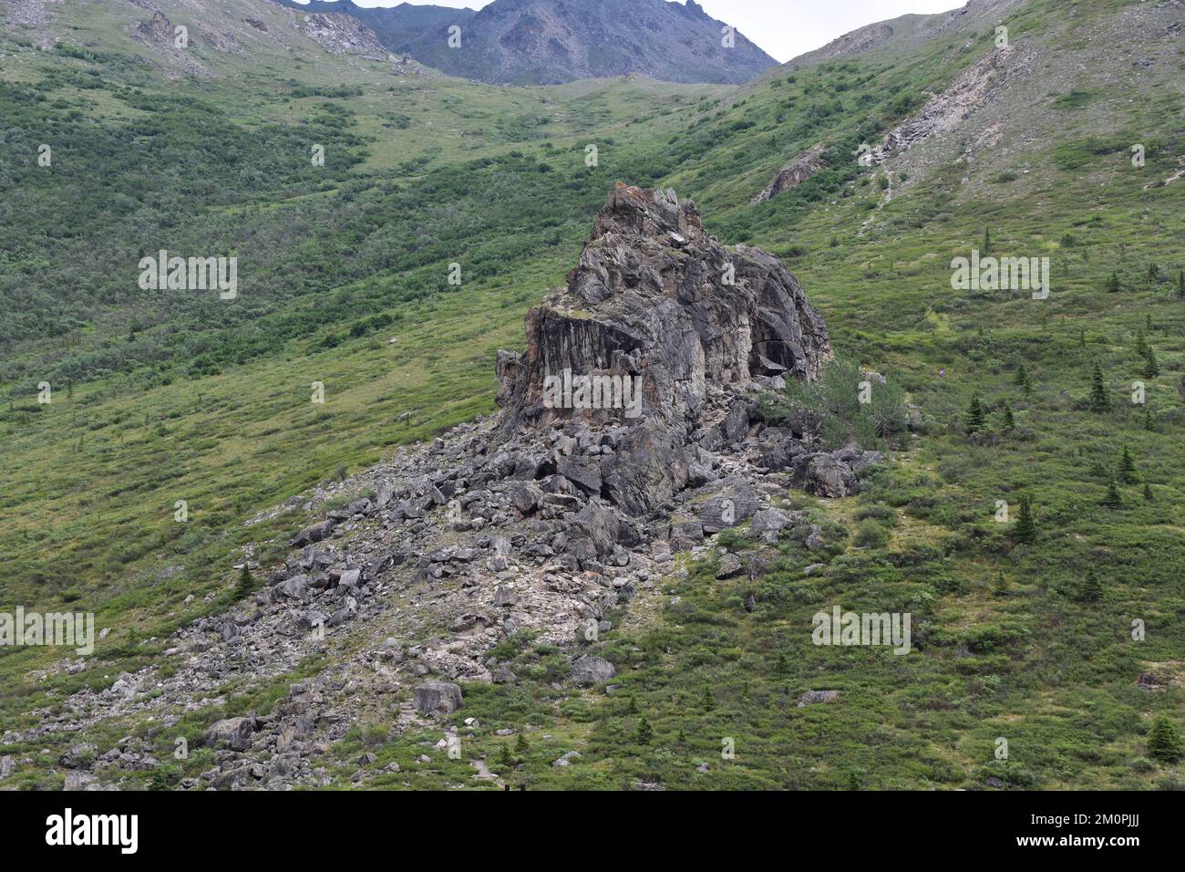 Hiking trail leading to a large boulder in Denali Stock Photo - Alamy