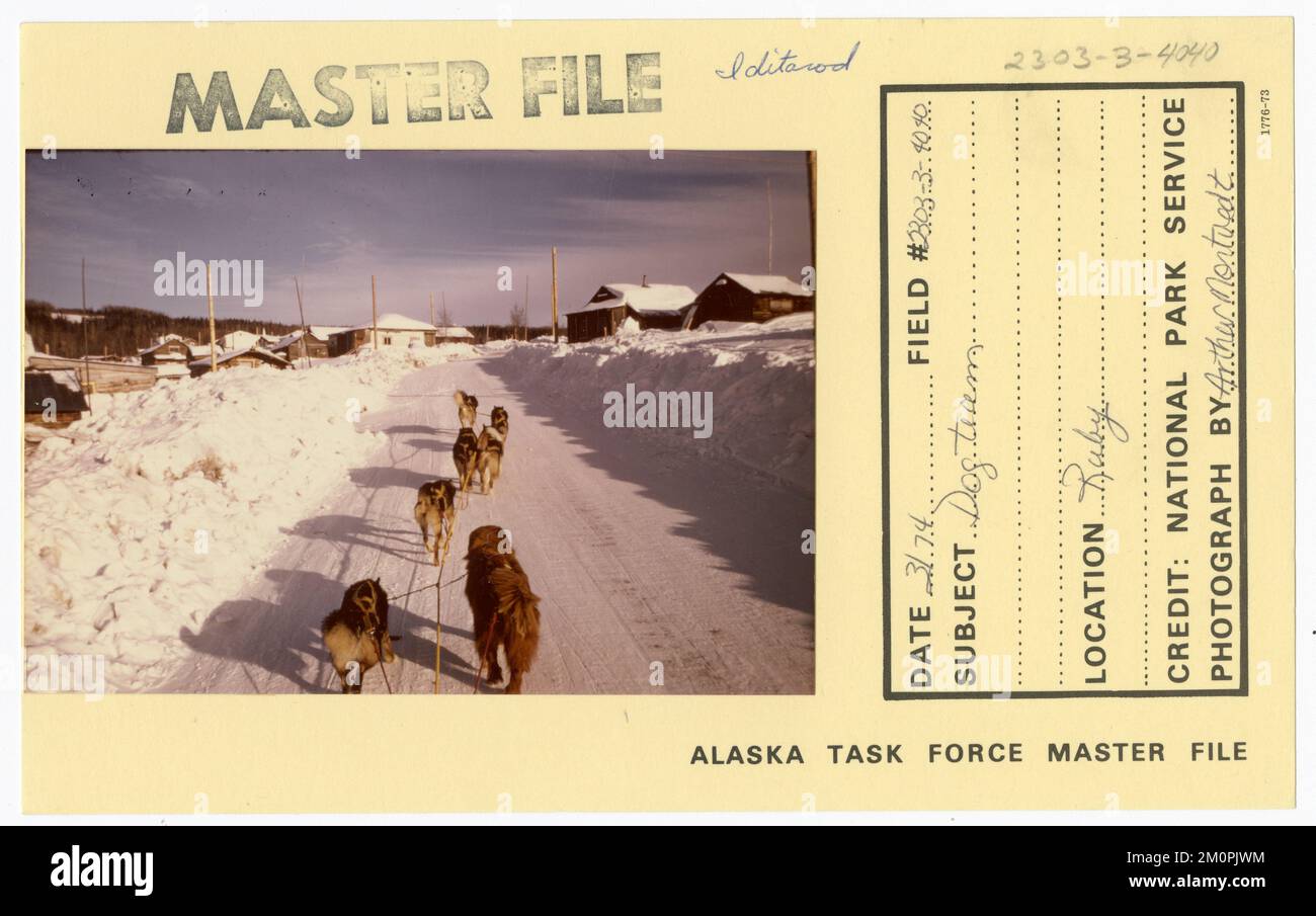 Dog team. Alaska Task Force Photographs Stock Photo - Alamy