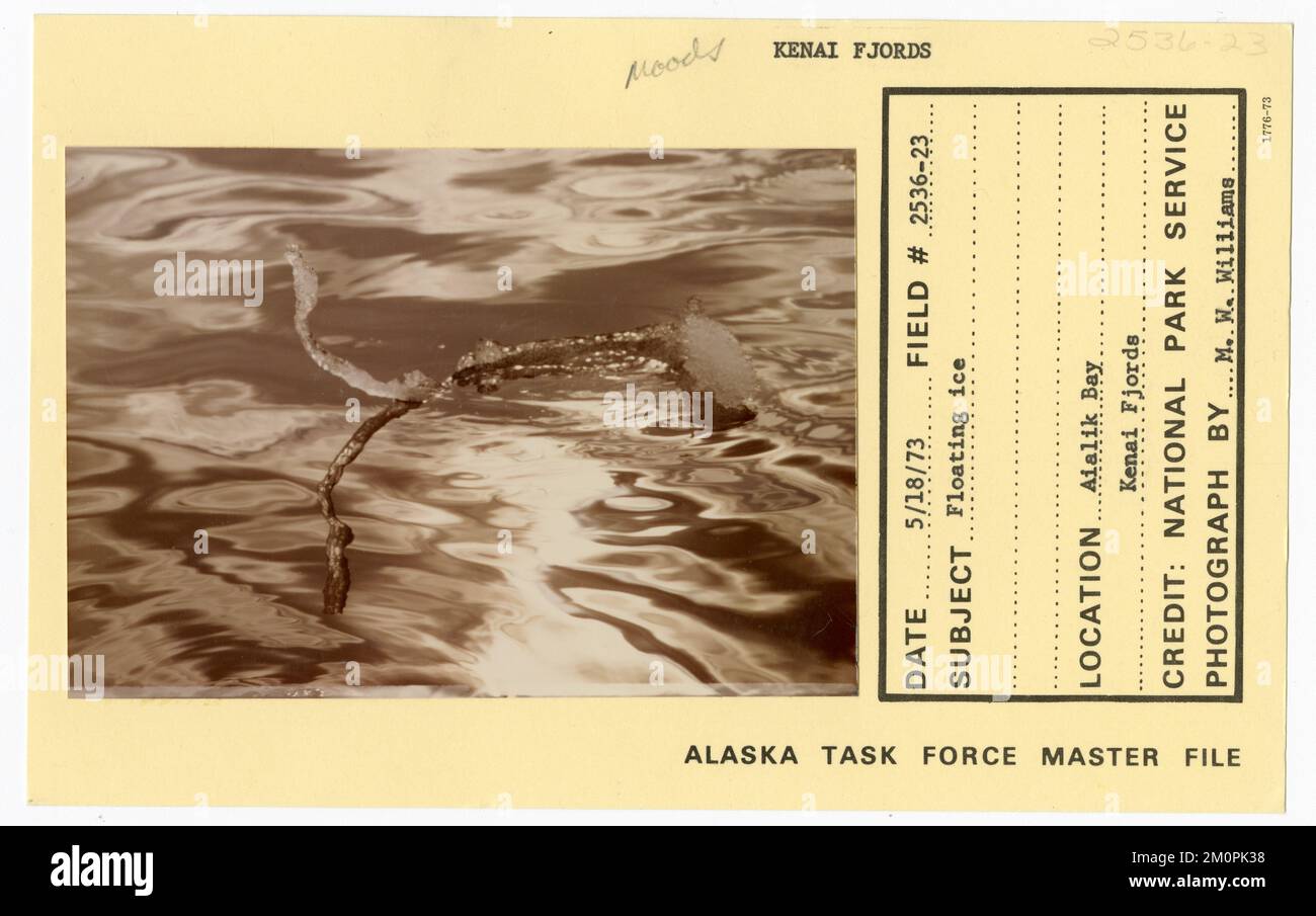 Floating ice. Alaska Task Force Photographs Stock Photo - Alamy