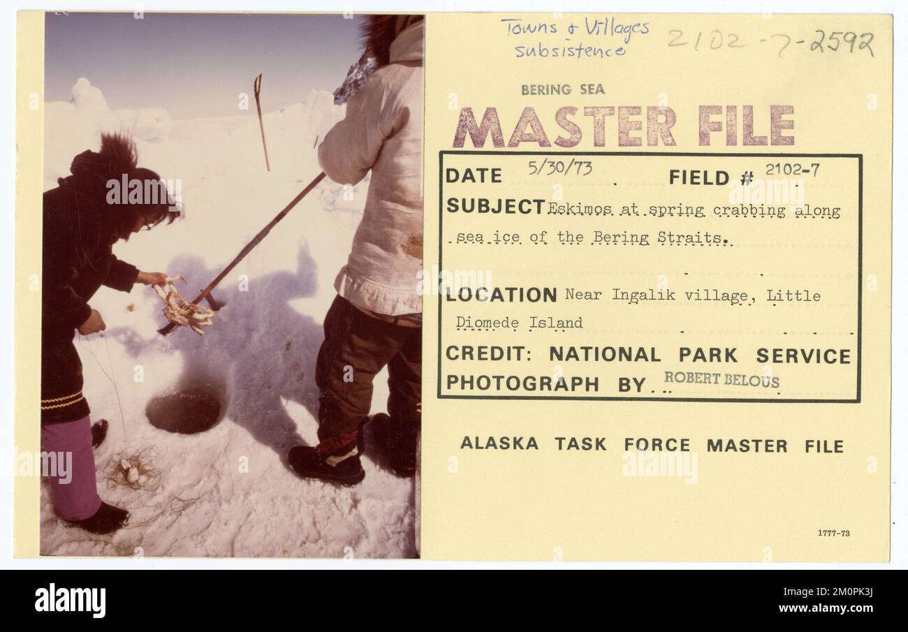 Eskimos at spring crabbing along sea ice of the Bering Straits. Alaska ...