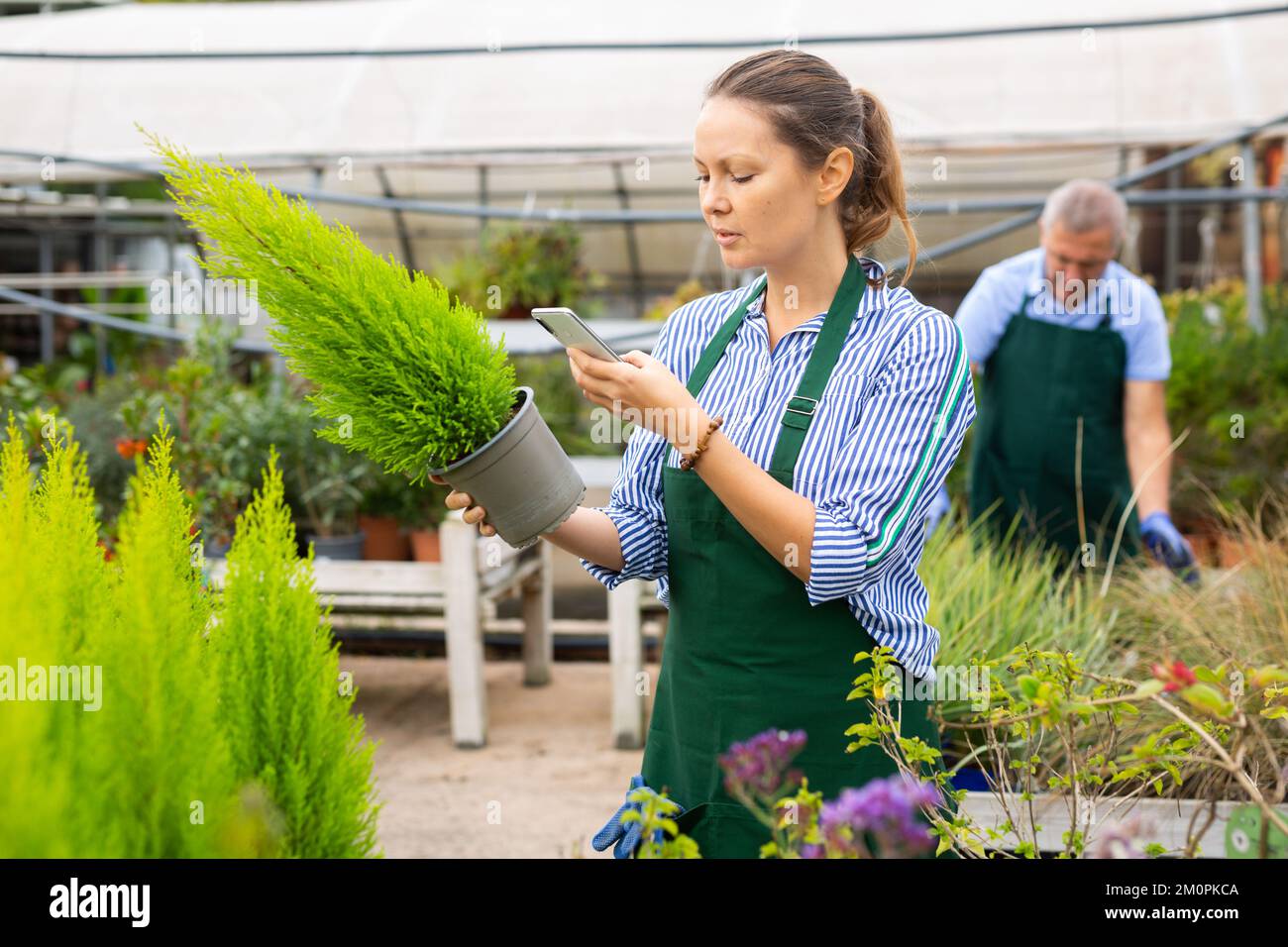 Female gardener in uniform hi-res stock photography and images - Alamy